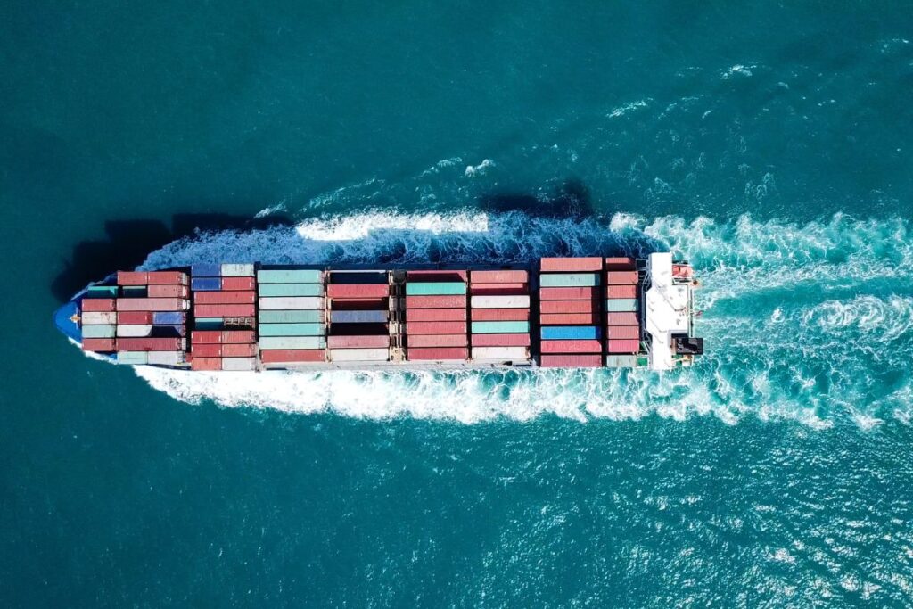 Entenda mais sobre a criação de frango de corte | Agro Estadão