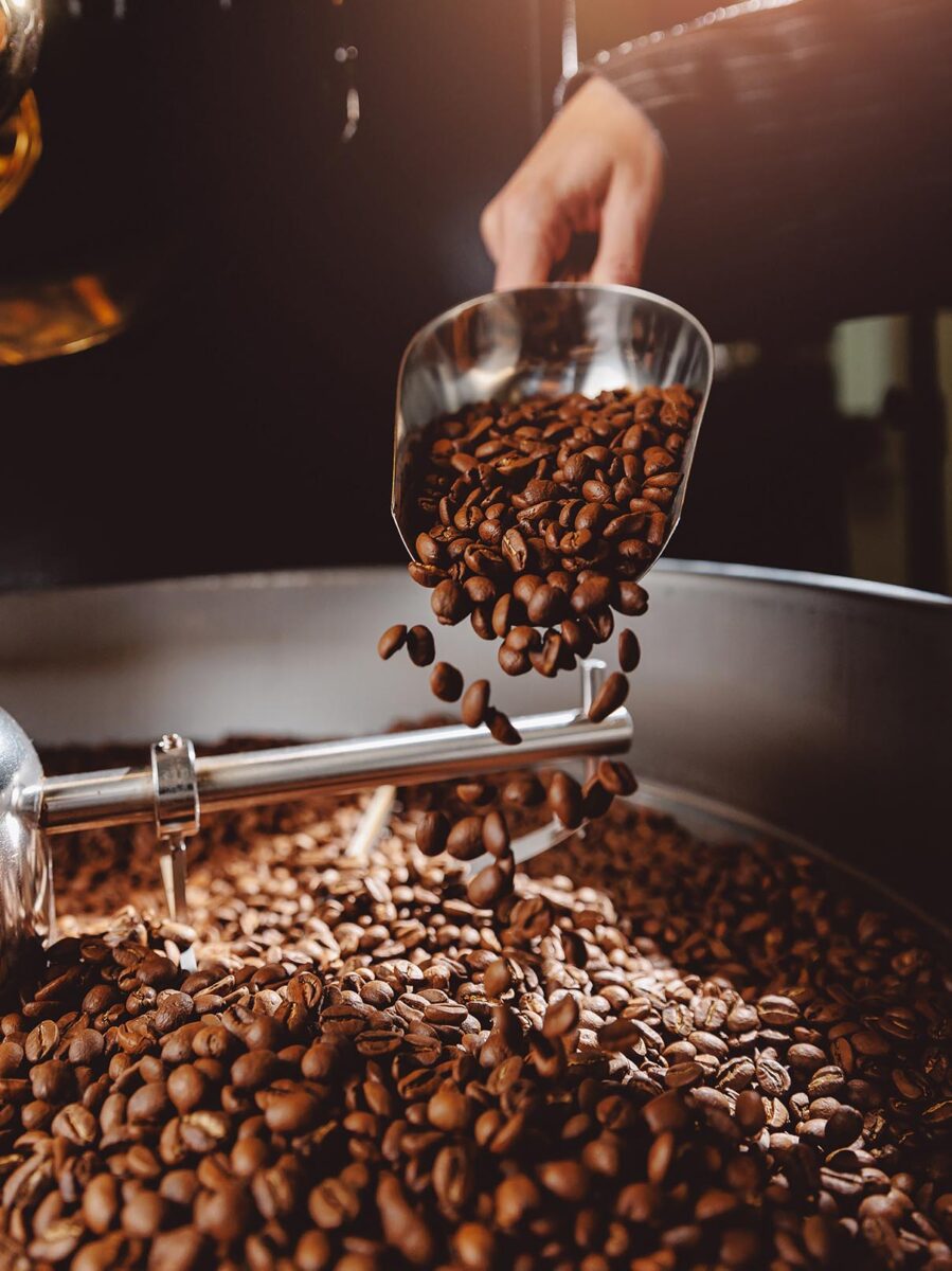 Café Conillon - Tipo 6 - CEPEA | Agro Estadão