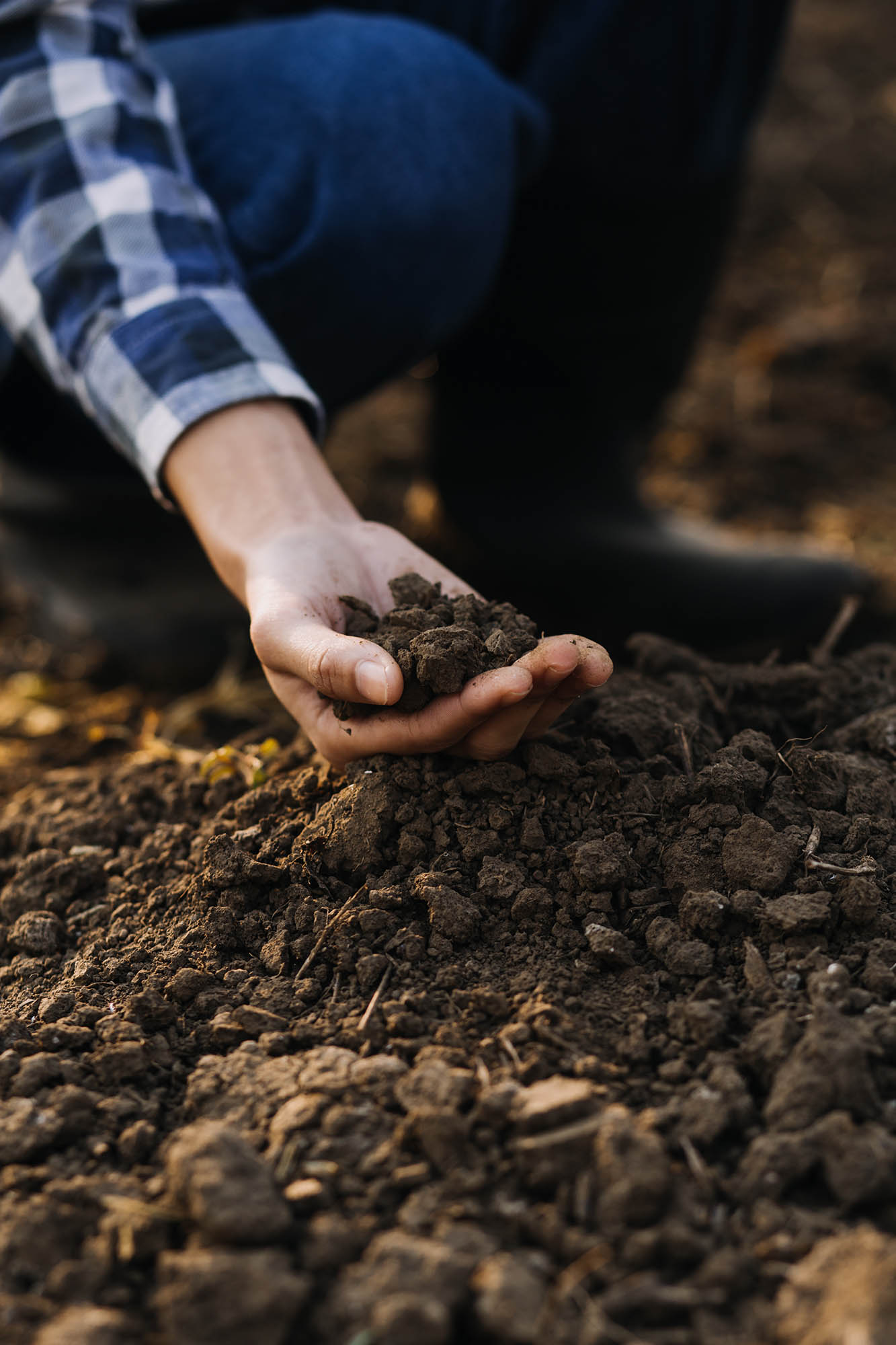 Solos brasileiros: a base da produtividade agrícola