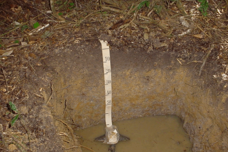 Você conhece os principais tipos de solos do Brasil? | Agro Estadão