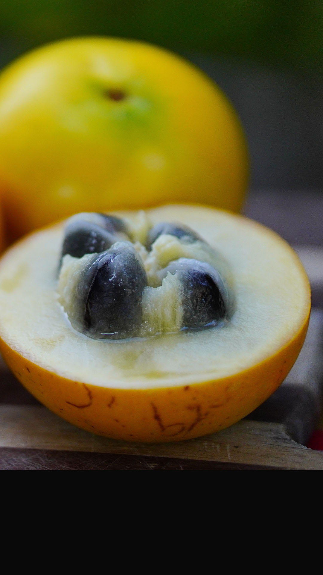 Abiu: a fruta amazônica com sabor de sorvete